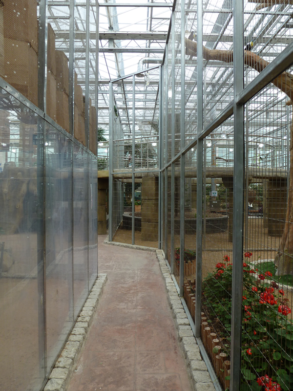 Gyeongju Bird Park | design for by of korea