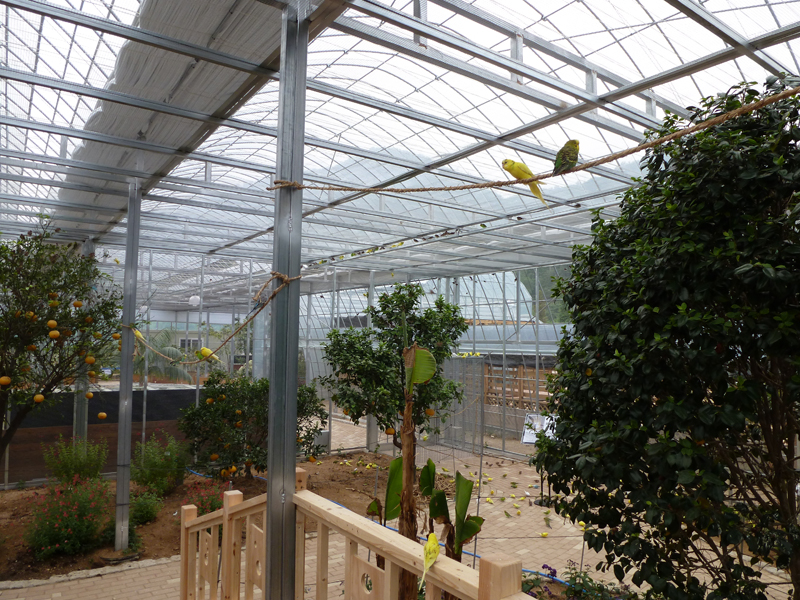 Gyeongju Bird Park | design for by of korea