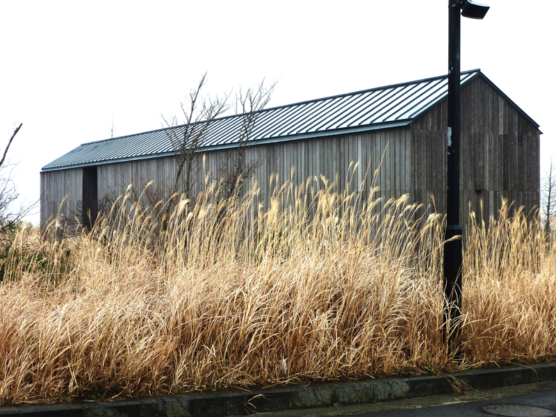 Wind Museum | design for by of korea